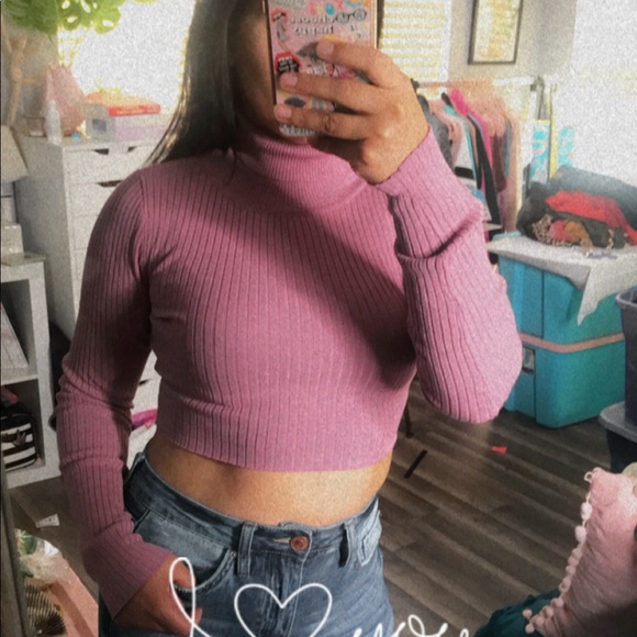 Hera Collection | Tops | Hera Collection Mauve Turtle Neck Cropped Top ...